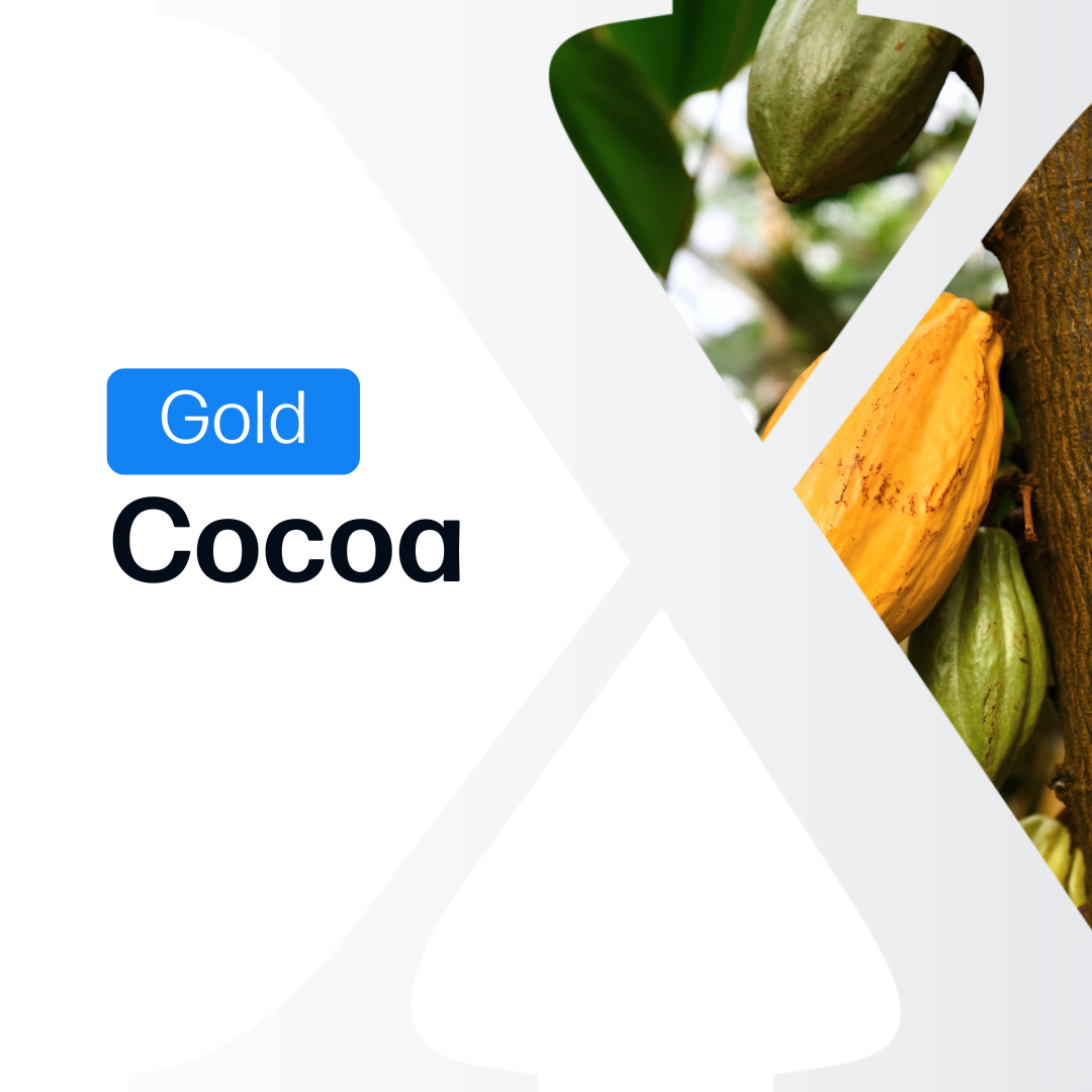 Cocoa Gold Plan - Market Reports