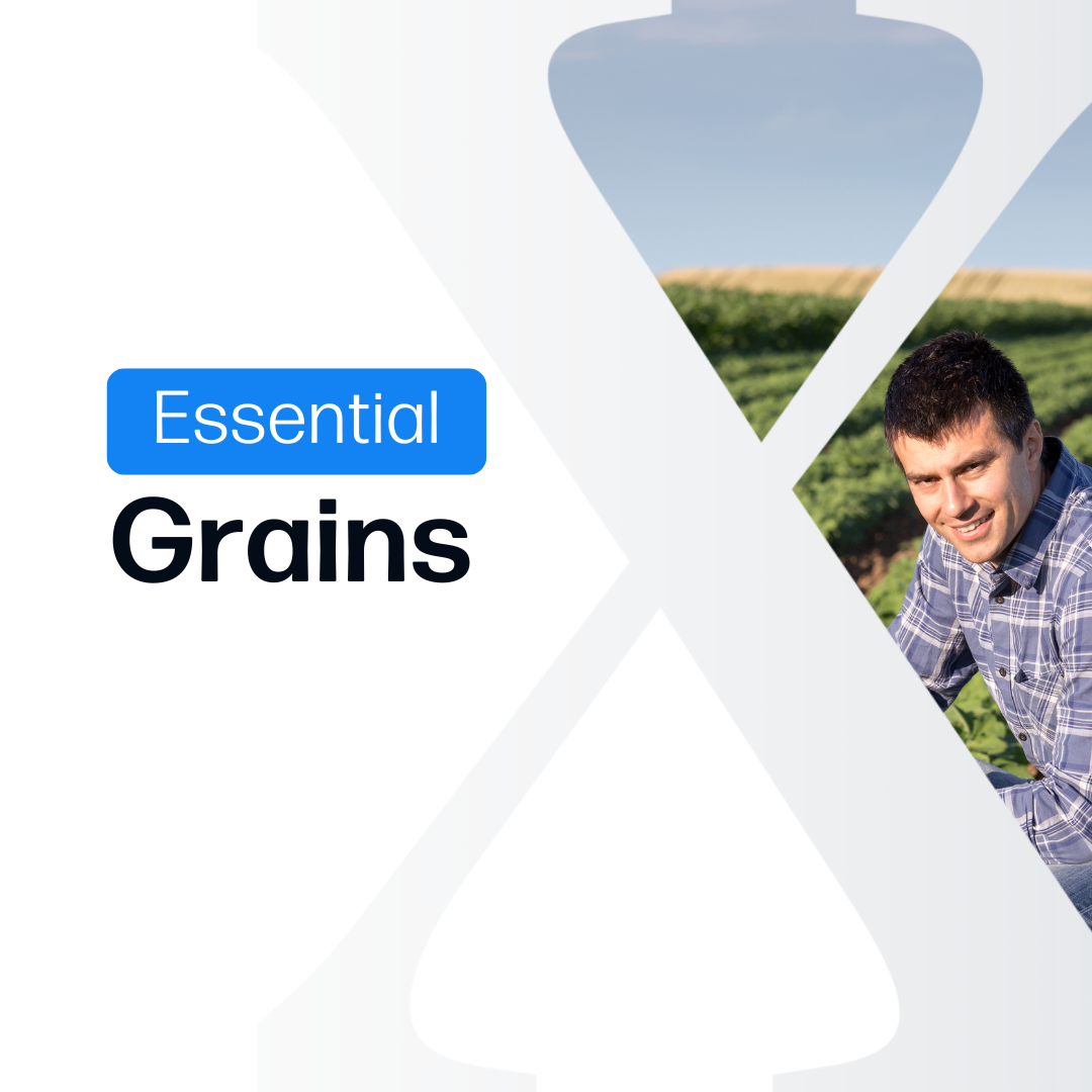 Grains Essential - Market Reports Subscription